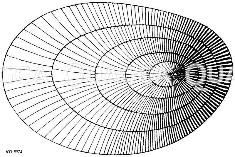 Bergstriche im Anschluss an die Isohypsen - Quagga Illustrations