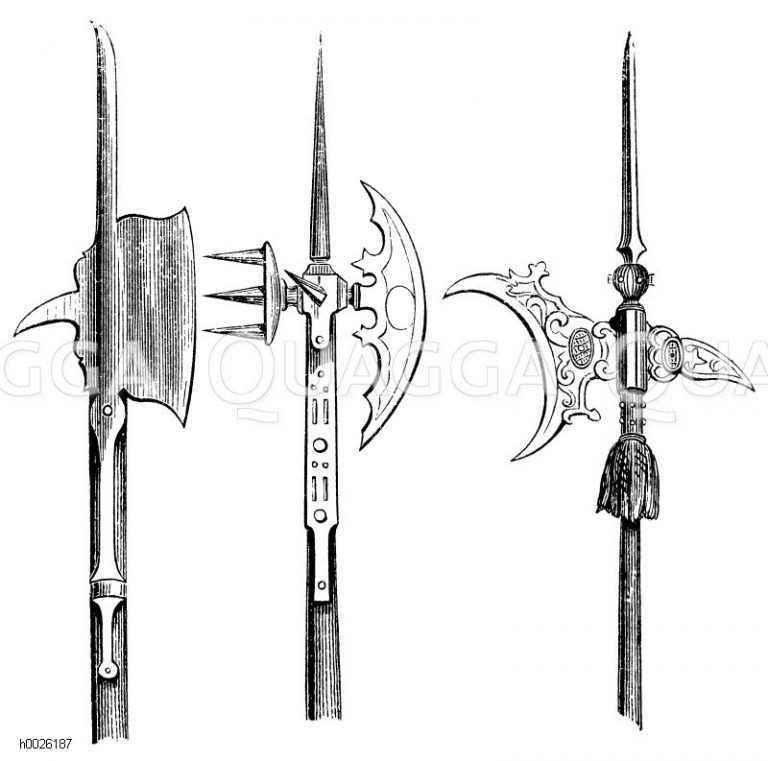 Hellebarde - Bildschlagwort - Bilddatenbank