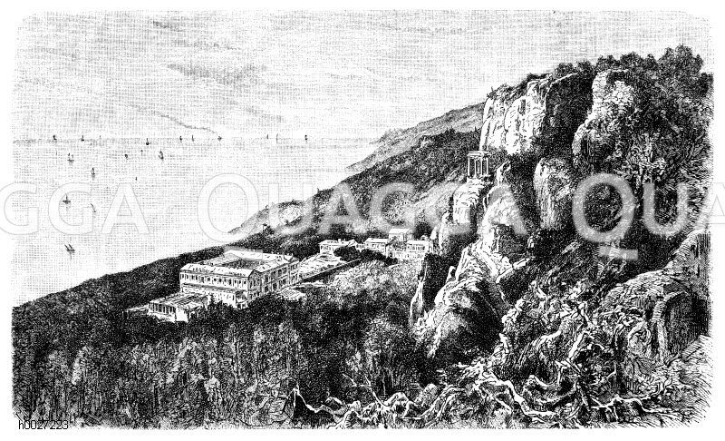 Orianda - Quagga Illustrations