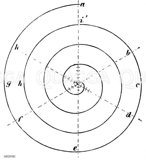 Archimedische Spirale - Quagga Illustrations