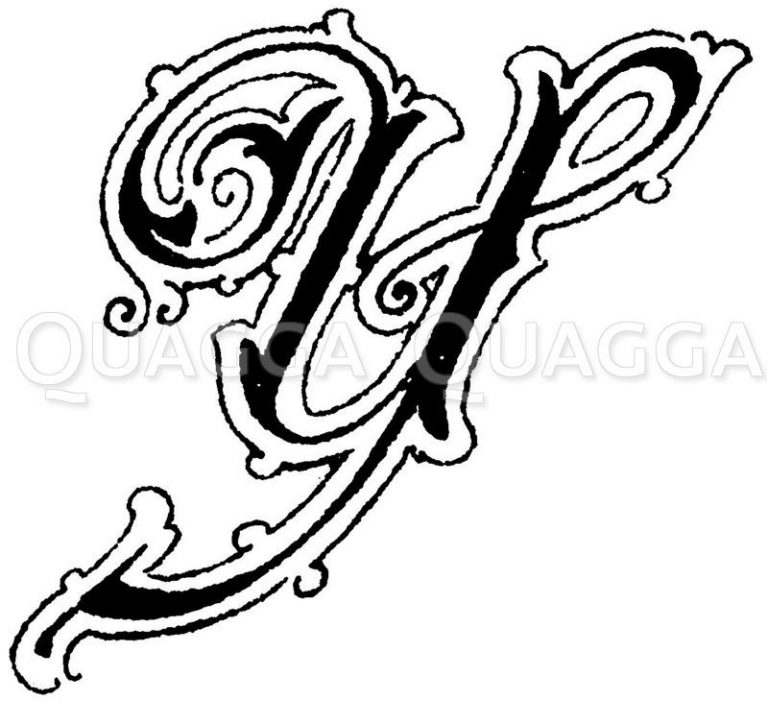 Buchstabe Y - Bildkategorie - Bilddatenbank