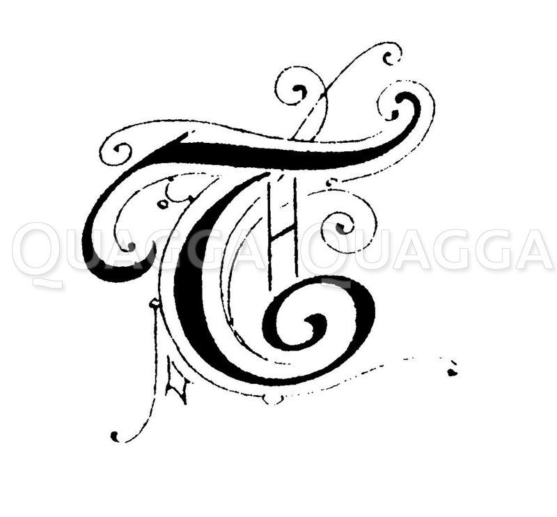 Buchstabe T