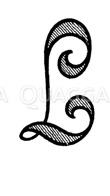 Buchstabe L, Verzierte Ronde