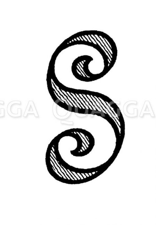 Buchstabe S - Bildkategorie - Quagga Illustrations Bilddatenbank
