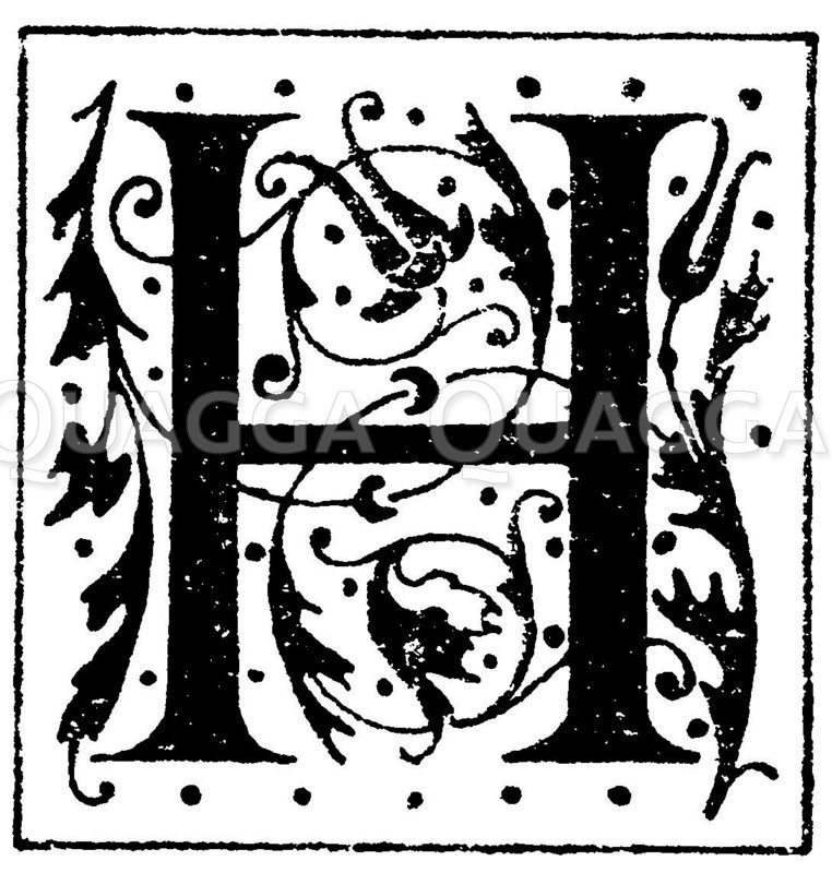 Lateinisches Initial: Buchstabe H. Initial aus einem Werk der Morel ...