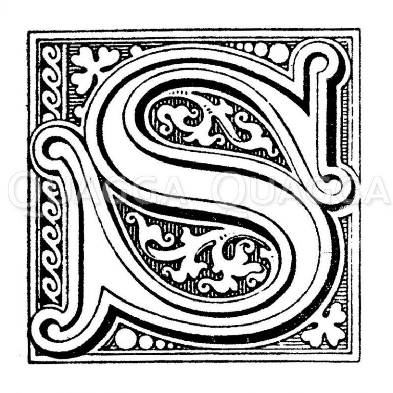 Buchstabe S - Bildkategorie - Quagga Illustrations Bilddatenbank