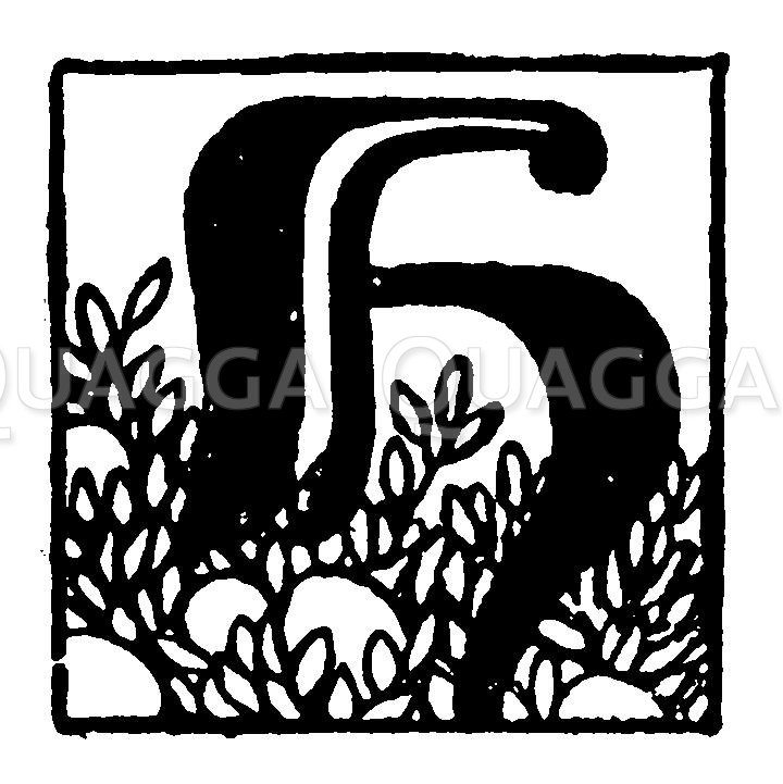 Initiale, Buchstabe H