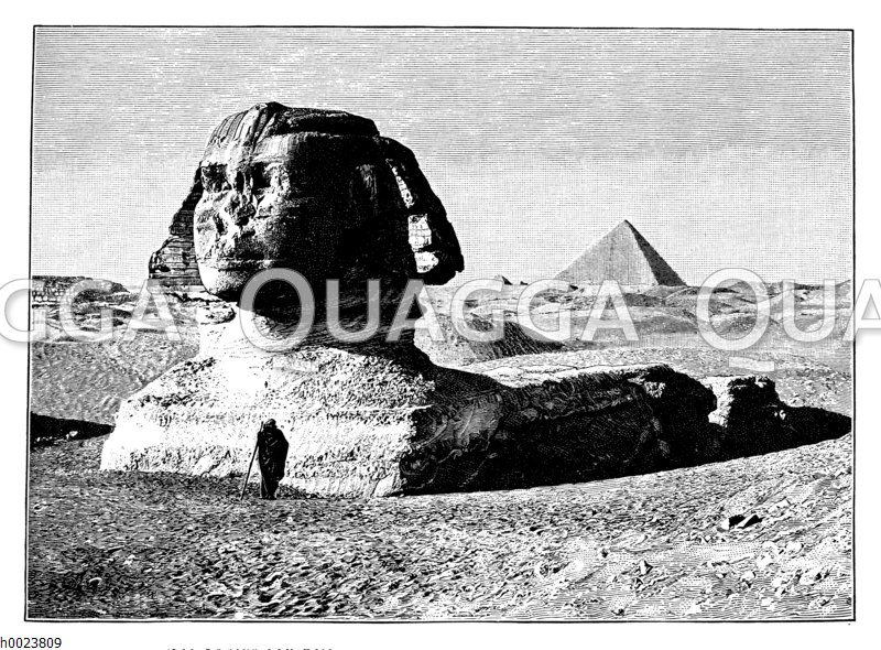 Sphinx von Gizeh - Quagga Illustrations