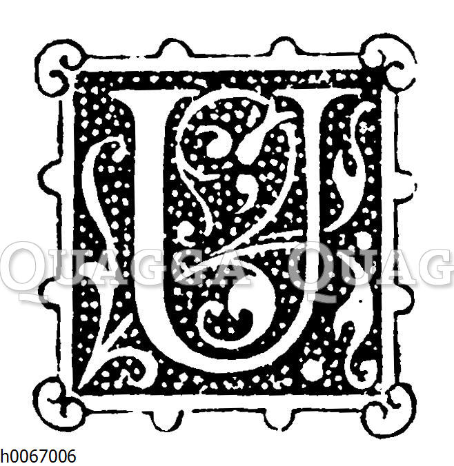 Buchstabe U