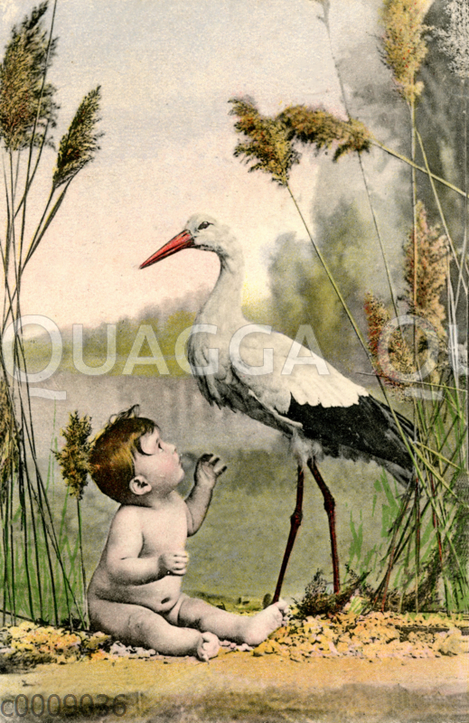 Baby in einem Sumpf mit Storch
