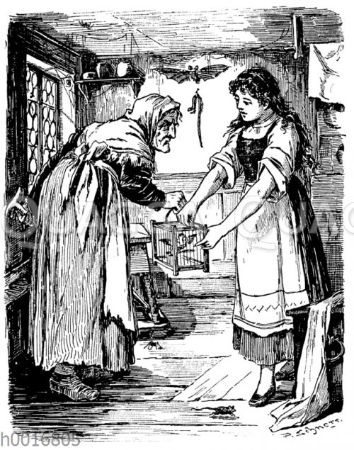 Hexerei, Zauberei - Bildkategorie - Quagga Illustrations Bilddatenbank