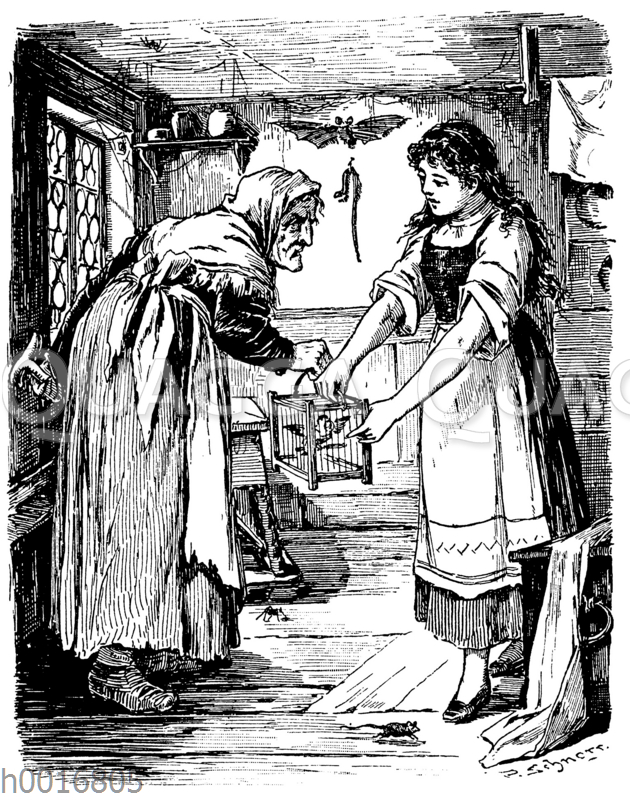 Hexerei, Zauberei - Bildkategorie - Quagga Illustrations Bilddatenbank