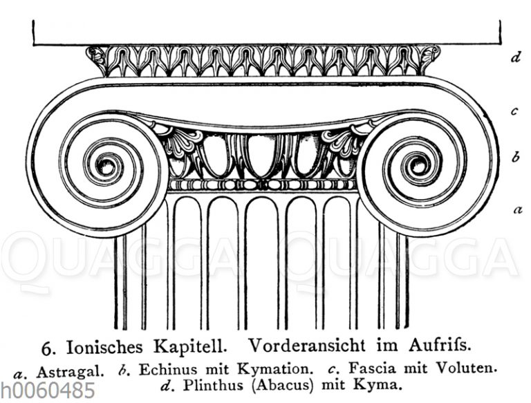 Kapitelle - Bildkategorie - Bilddatenbank