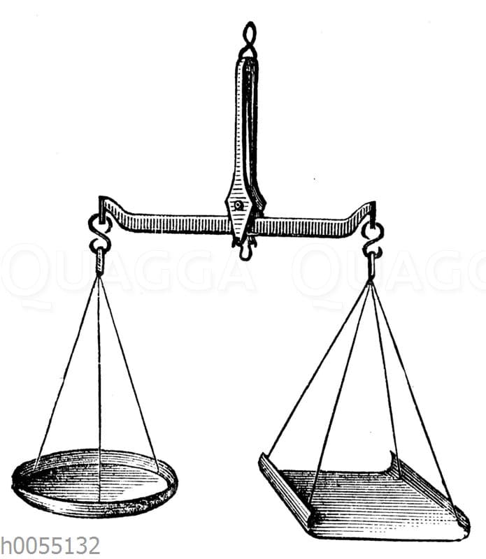 Waage - Quagga Illustrations